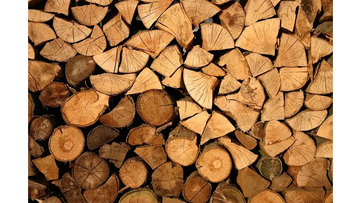 Canada Supports Softwood Lumber Industry with C$1.2 Billion Aid