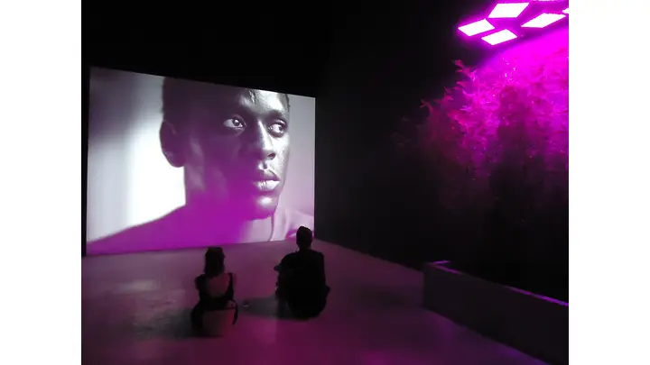 Major Art World Events Announced for 2026: Venice Biennale, New Fairs & Exhibitions