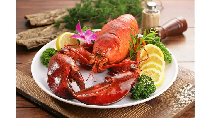 Brazil's Seafood Industry Calls for Government Aid Amid U.S. Tariff Crisis