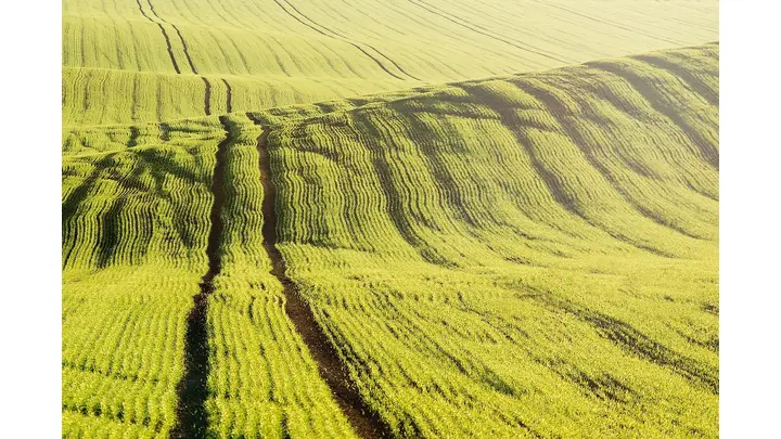 U.S. Farm Economy Shows Widening Strain in 2026, With Low Prices and High Costs
