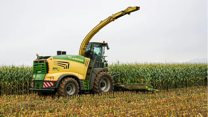 Corn Futures Gain on Black Friday Amid Record Export Sales
