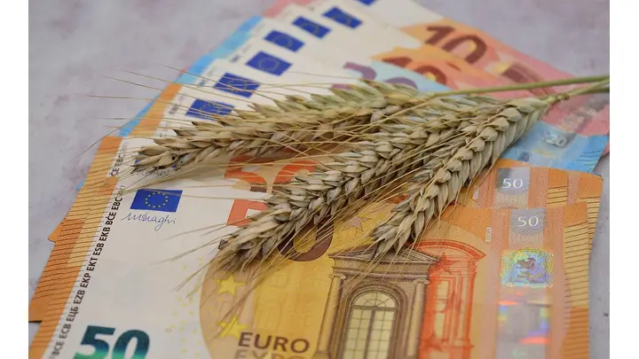 Wheat Posts Midweek Gains Across Major Exchanges