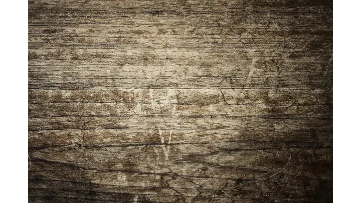 Lumber Futures Show Minor Declines in Friday Trading