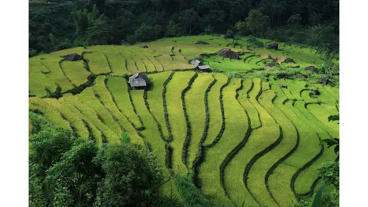 Vietnam's Economic Indicators Show Mixed Results in Early 2026
