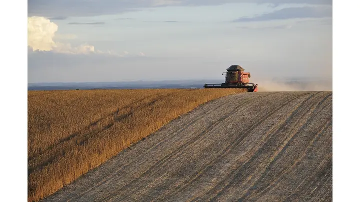 Brazil's Soy Moratorium Suspended by Antitrust Order