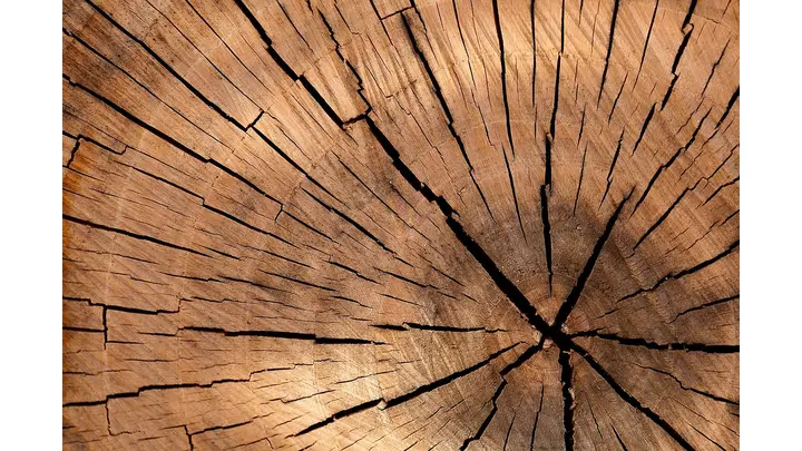 Lumber Futures See Uptick in Open Interest Amid Market Fluctuations