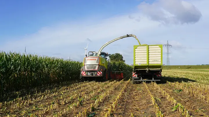 Corn Futures Rise on Late Buying and Soybean Spillover