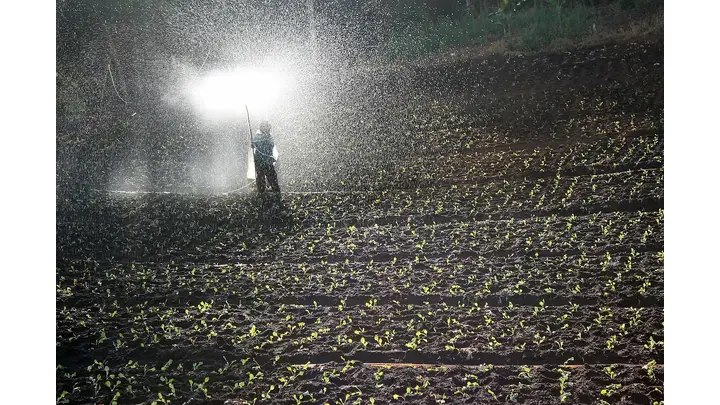 France and Italy Push for EU Fertilizer Exemption from Carbon Border Tax