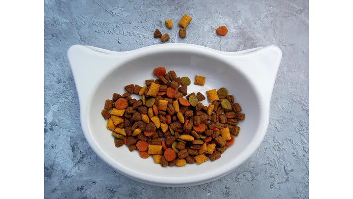 ADM Closes Pet Food Plant in Brazil Amid Strategic Shift
