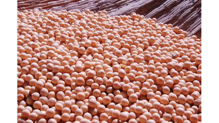 ADM Closes Bushnell Soy Protein Plant in Cost-Cutting Move