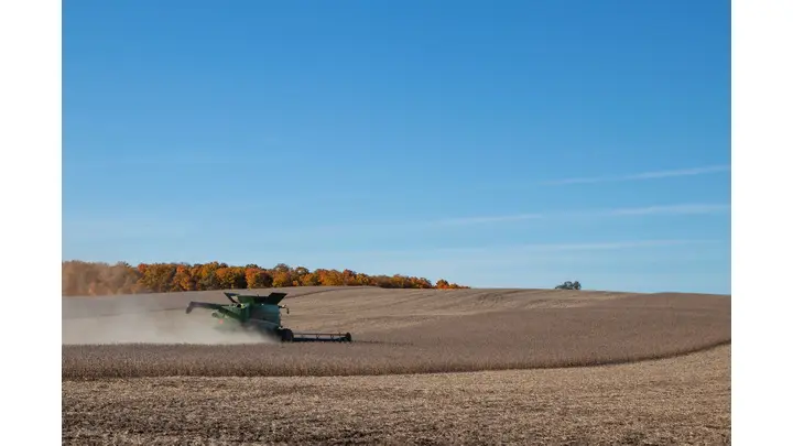 Soybean Futures Fall to $11.2 as Strong Dollar and Oil Drop Weigh on Market