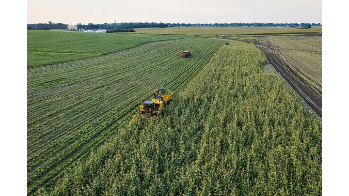USDA Projects 94M Corn Acres, 85M Soybean Acres for 2026