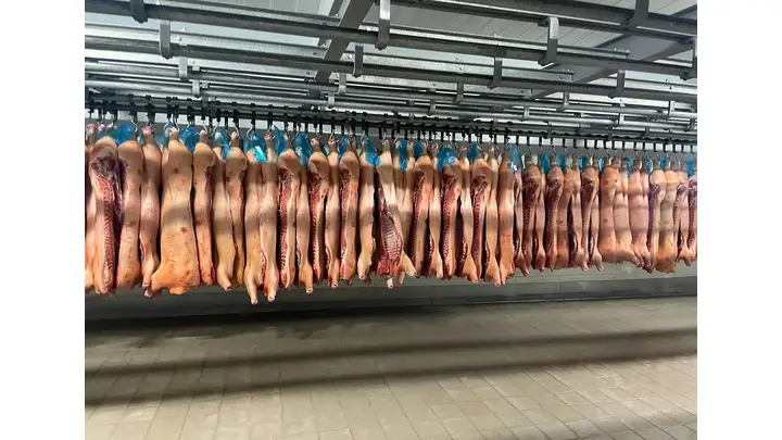USDA Pork Report: Carcass Cutout Value Rises to 99.33 on May 28, 2026