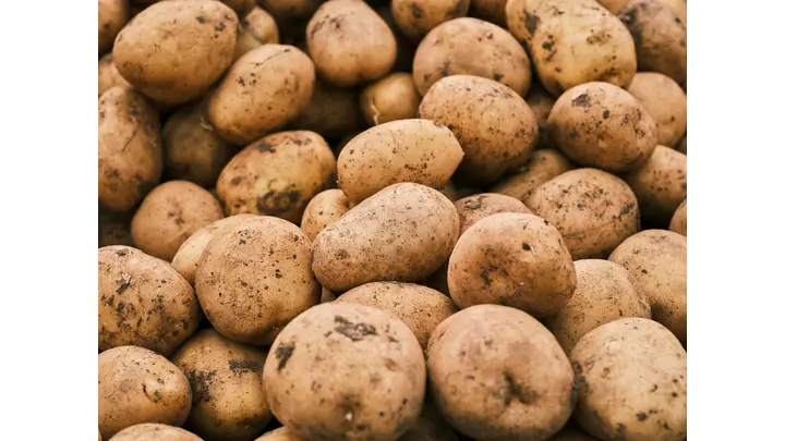 Farmers Report Weakening Demand for Potatoes Amid Rise of Weight-Loss Drugs
