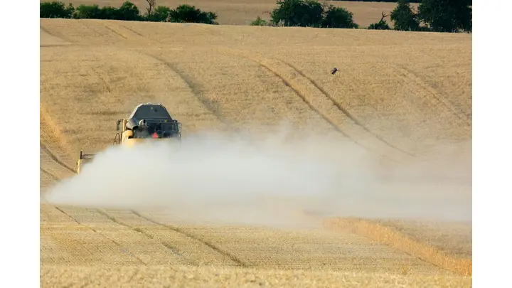 Wheat Markets Experience Mixed Movements on Wednesday