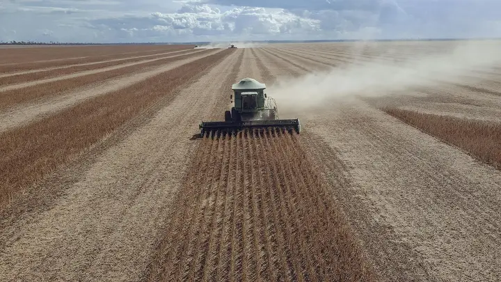 Soybean Futures Surge Across 2026-2027 Contracts on CBOT