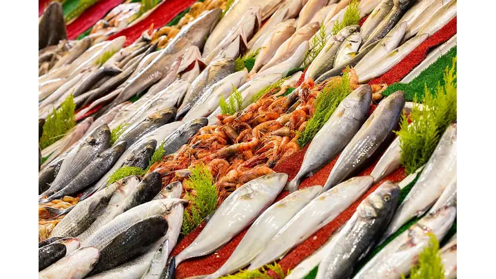 Seafood Industry Consolidation Accelerated in 2025, More Expected in 2026