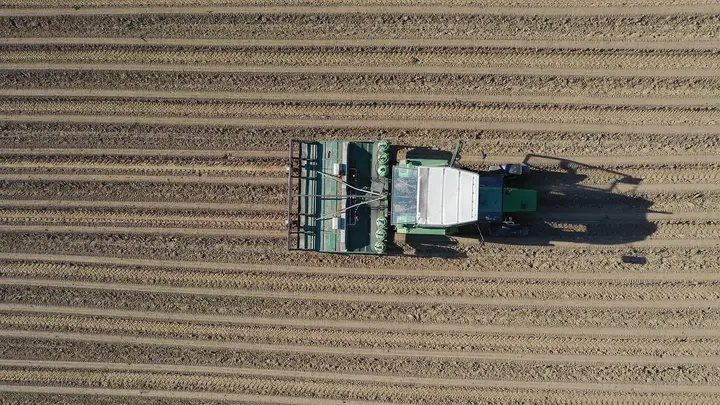 Wheat Futures Rise Over 2% in Mid-May 2026 on China Trade Deal Hopes