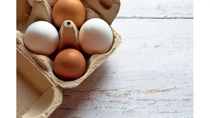 Brazilian Egg Exports to the U.S. Surge Amid Bird Flu Outbreak