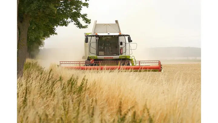 CBH Breaks Grain Receival Records in Western Australia's 2025 Harvest