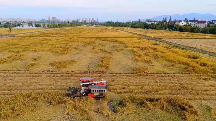 China Pledges $17 Billion Annual U.S. Agricultural Imports Beyond Soybeans for Three Years