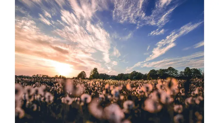 Cotton Futures Show Promising Gains Amid Market Fluctuations