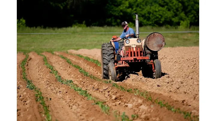 USDA Opens Enrollment for 2026 Farmer Bridge Assistance Program