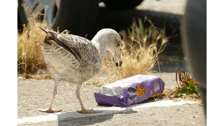 Plastic Pollution to Hit 280 Million Tonnes Annually by 2040, Report Warns