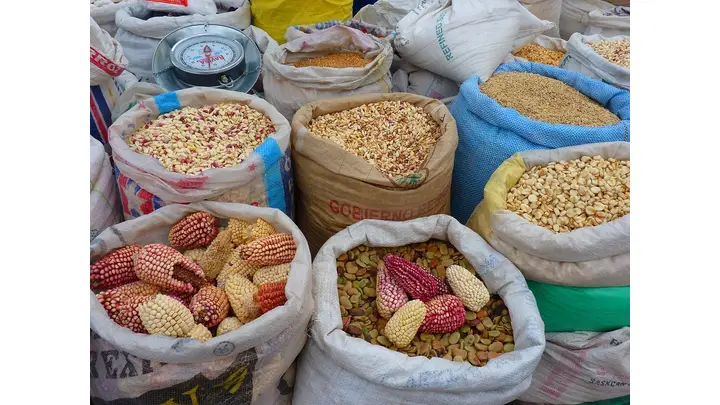 Corn Market Faces Slight Decline Amid Export Sales Concerns