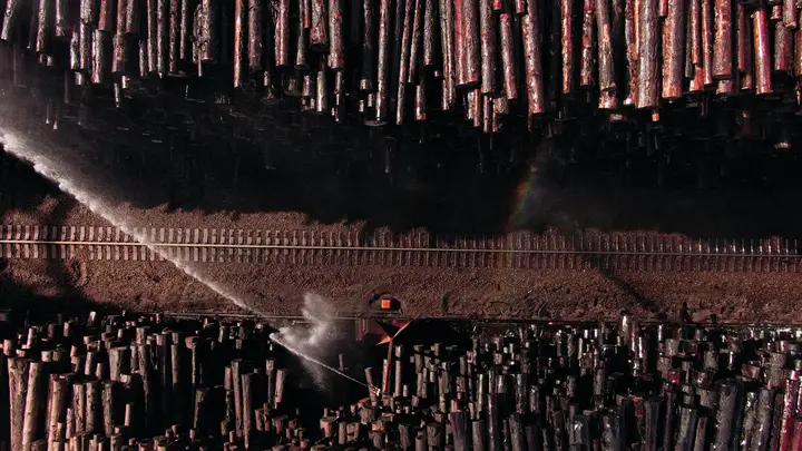Lumber Prices Rise in Mid-March 2026, Showing Weekly and Yearly Gains