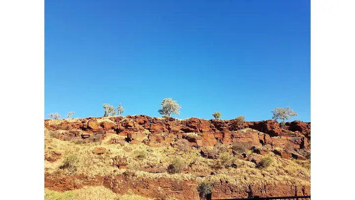 Rio Tinto and BHP to Explore Iron Ore Partnership in Pilbara
