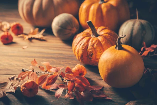 Mexico's Pumpkin Price Soars by 34% to a New Record of $1,105 per Ton, Experiencing Wild Fluctuations throughout 2022