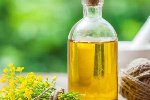 10% Drop in Mexican Refined Rapeseed Oil Price, Now Averaging $1,571 per Ton