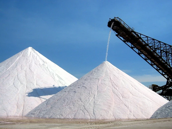 Effective Market Entry Strategy for Salt and Pure Sodium Chloride in the United States