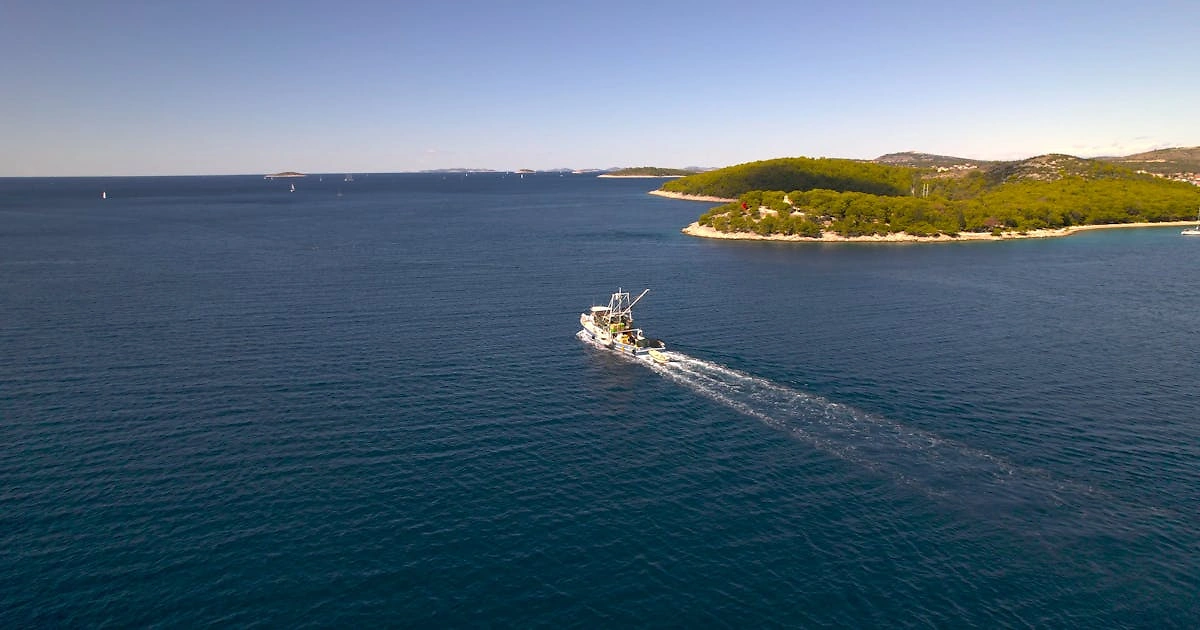 Alaska Salmon Industry Warns EU CATCH System Could Disrupt Exports in 2026