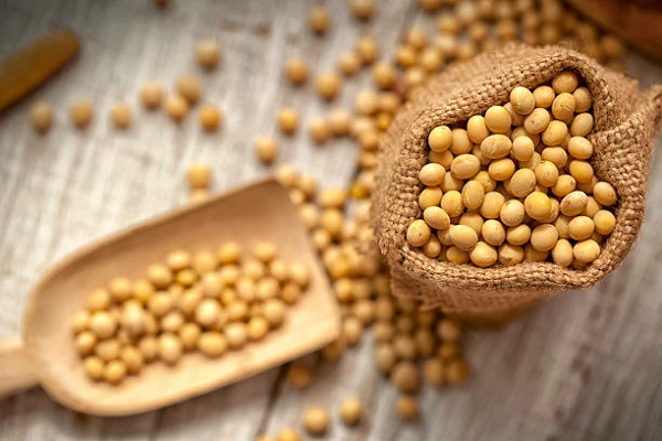 Brazil's Soya Bean Price Decreases to $596 per Ton