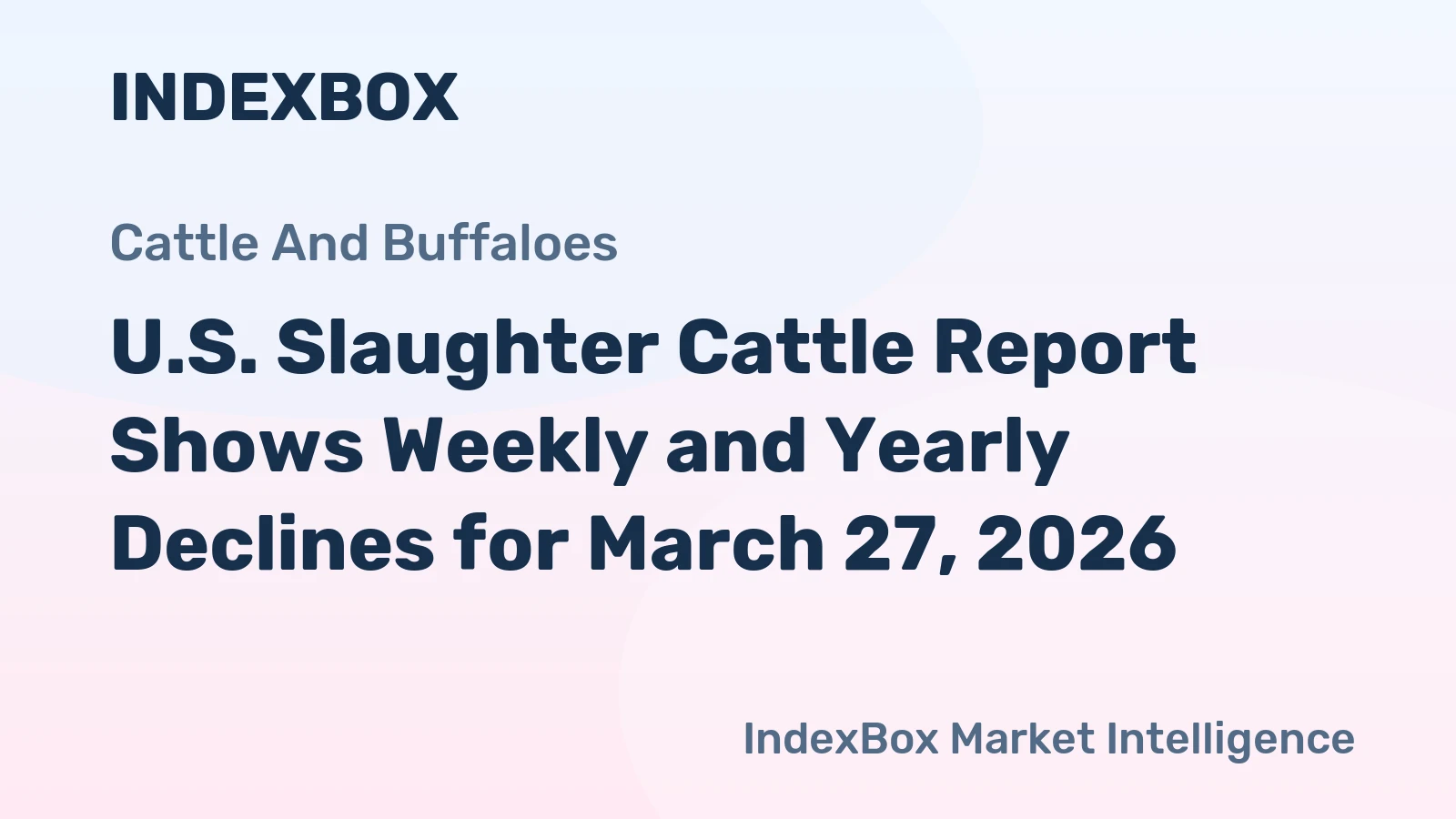 U.S. Slaughter Cattle Report Shows Weekly and Yearly Declines for March 27, 2026