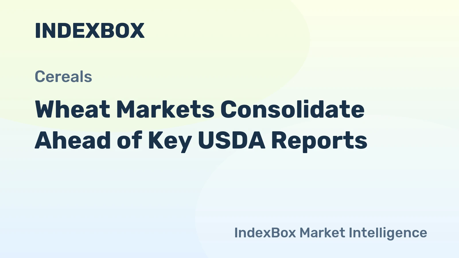 Wheat Markets Consolidate Ahead of Key USDA Reports