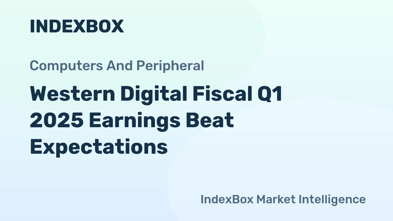 Western Digital Fiscal Q1 2025 Earnings Beat Expectations