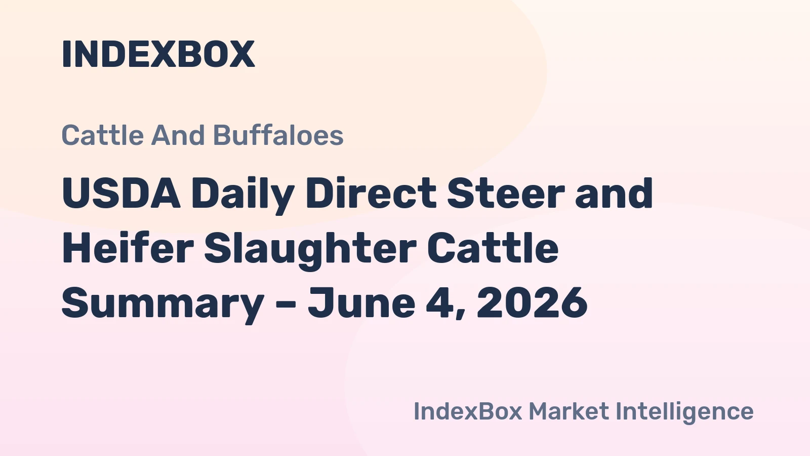 USDA Daily Direct Steer and Heifer Slaughter Cattle Summary – June 4, 2026