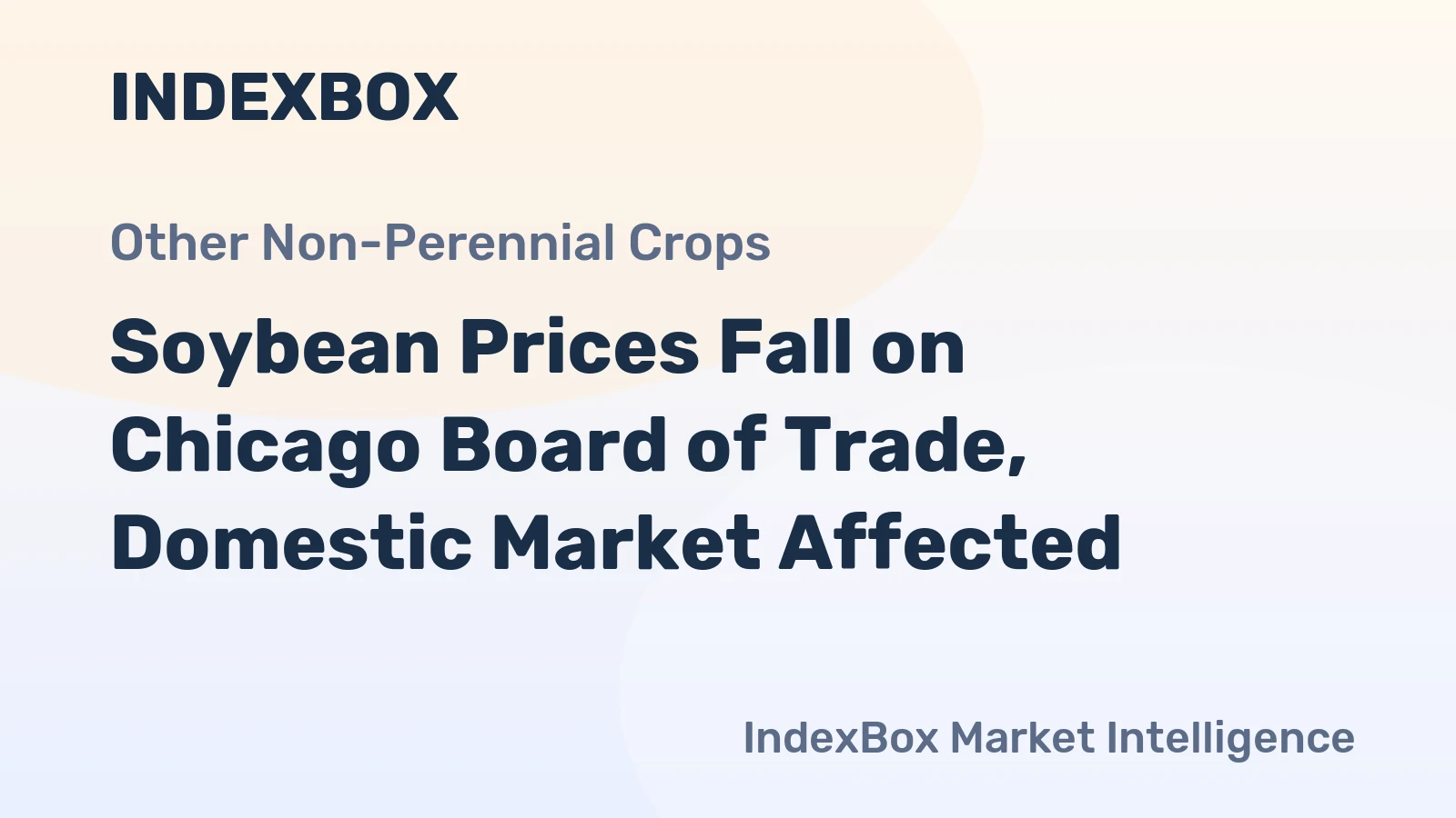 Soybean Prices Fall on Chicago Board of Trade, Domestic Market Affected