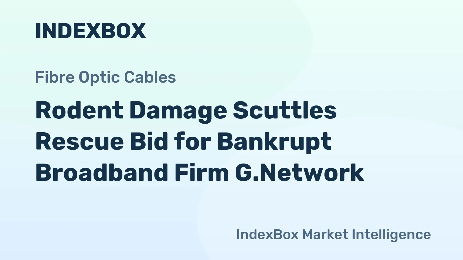 Rodent Damage Scuttles Rescue Bid for Bankrupt Broadband Firm G.Network