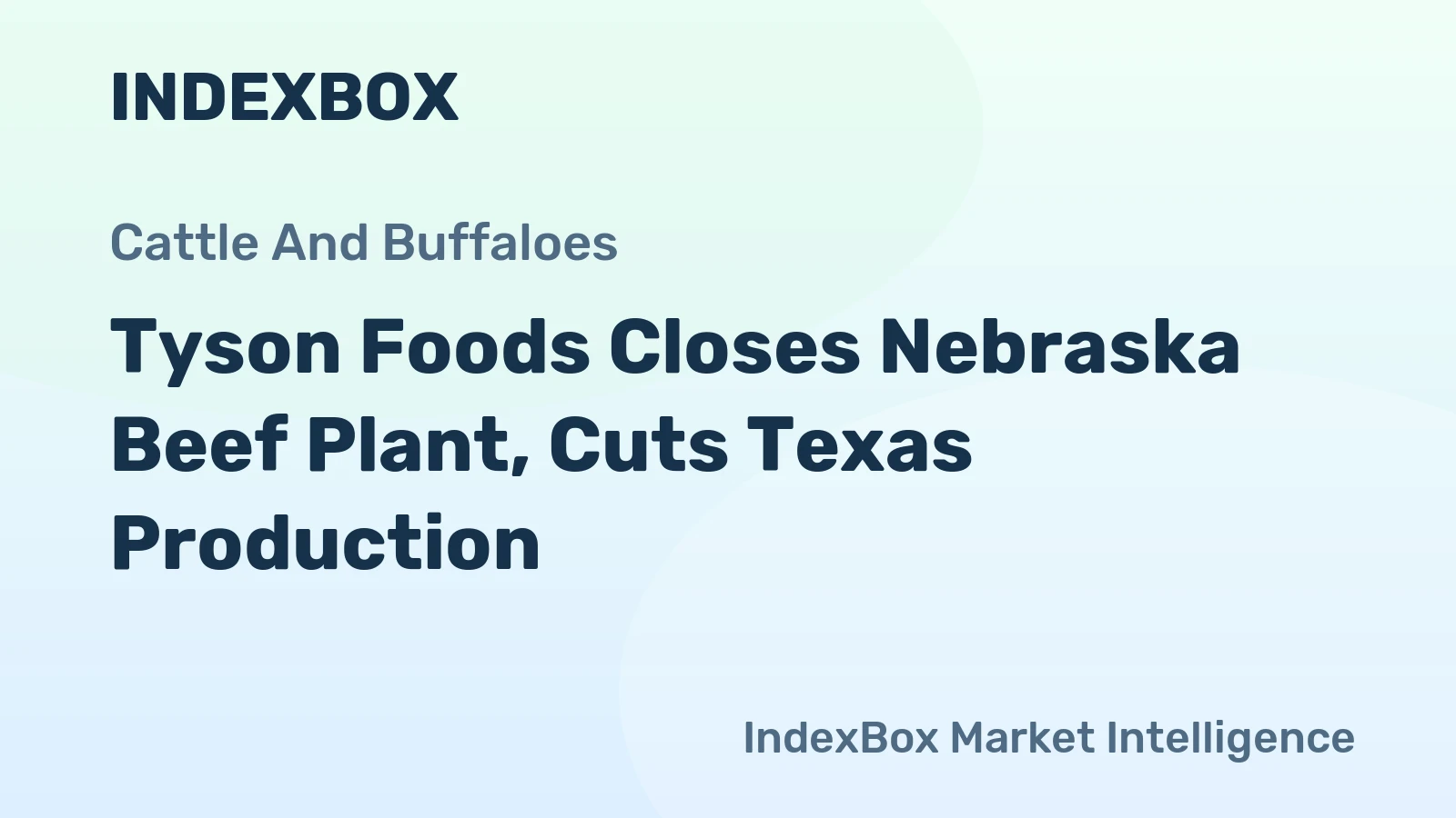 Tyson Foods Closes Nebraska Beef Plant, Cuts Texas Production
