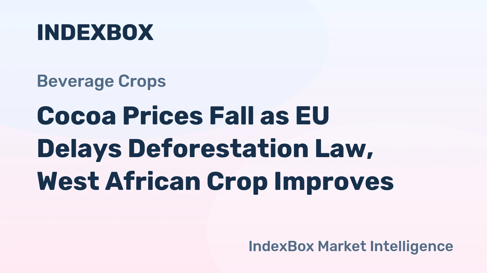 Cocoa Prices Fall as EU Delays Deforestation Law, West African Crop Improves