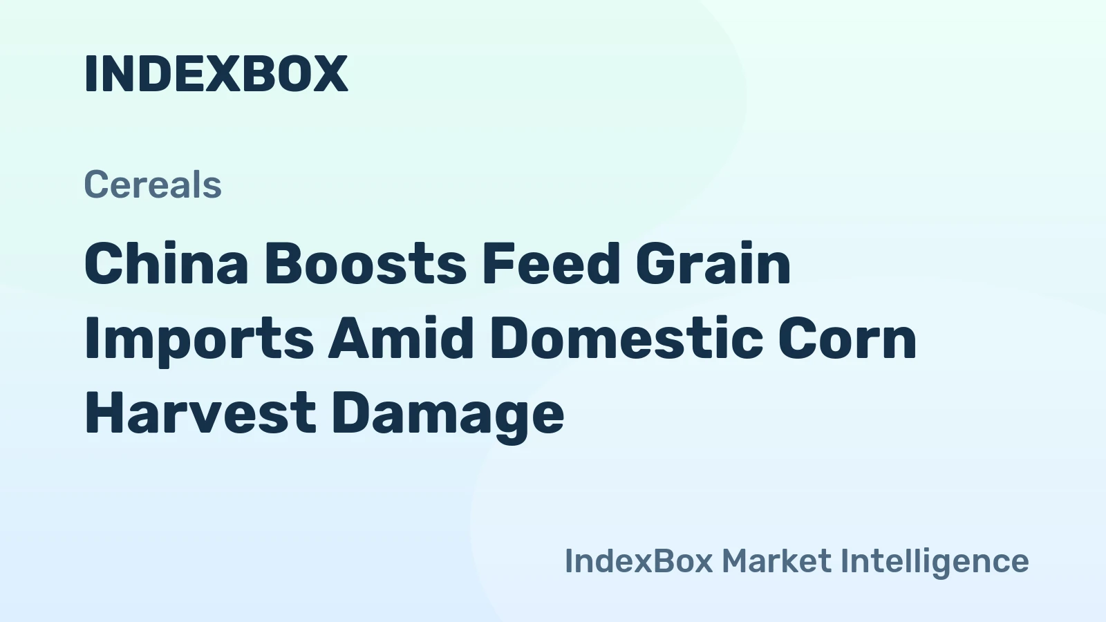 China Boosts Feed Grain Imports Amid Domestic Corn Harvest Damage