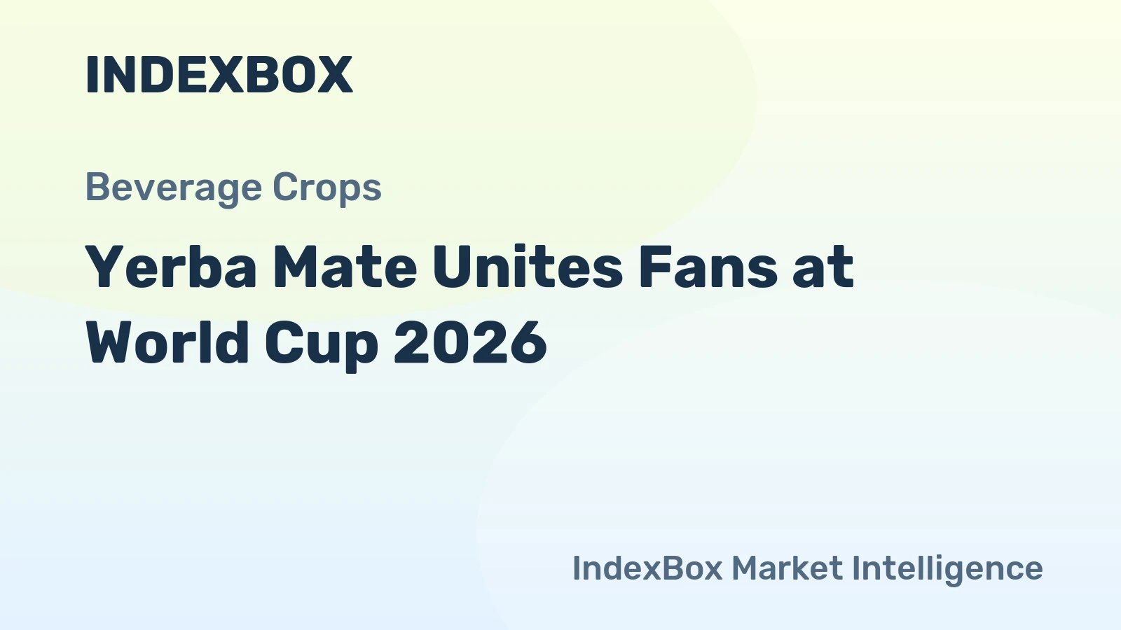 Yerba Mate Unites Fans at World Cup 2026