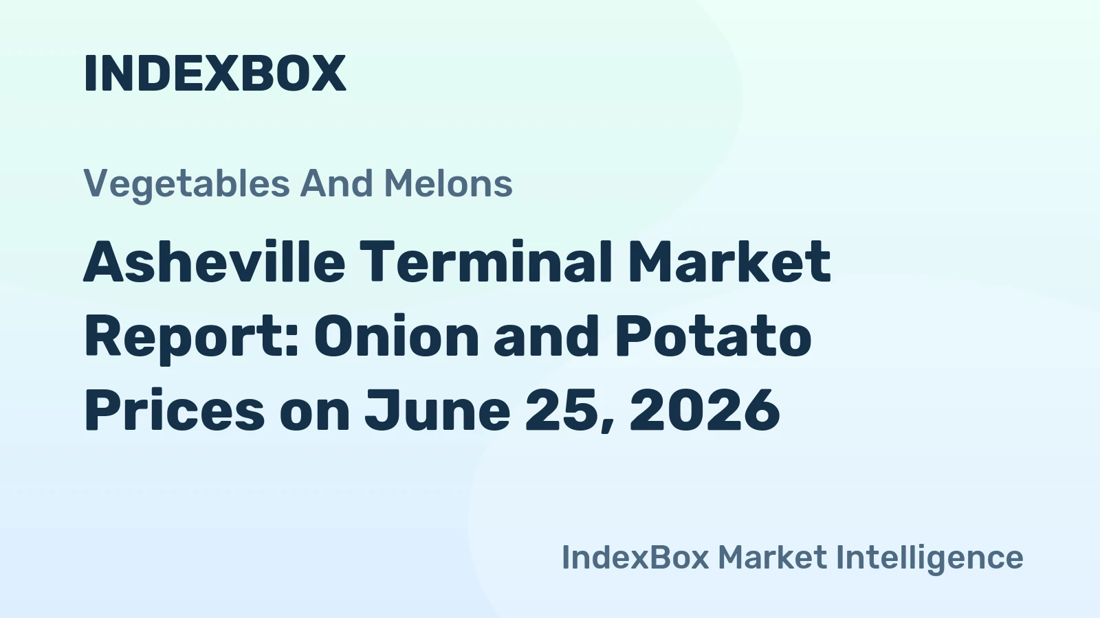Asheville Terminal Market Report: Onion and Potato Prices on June 25, 2026