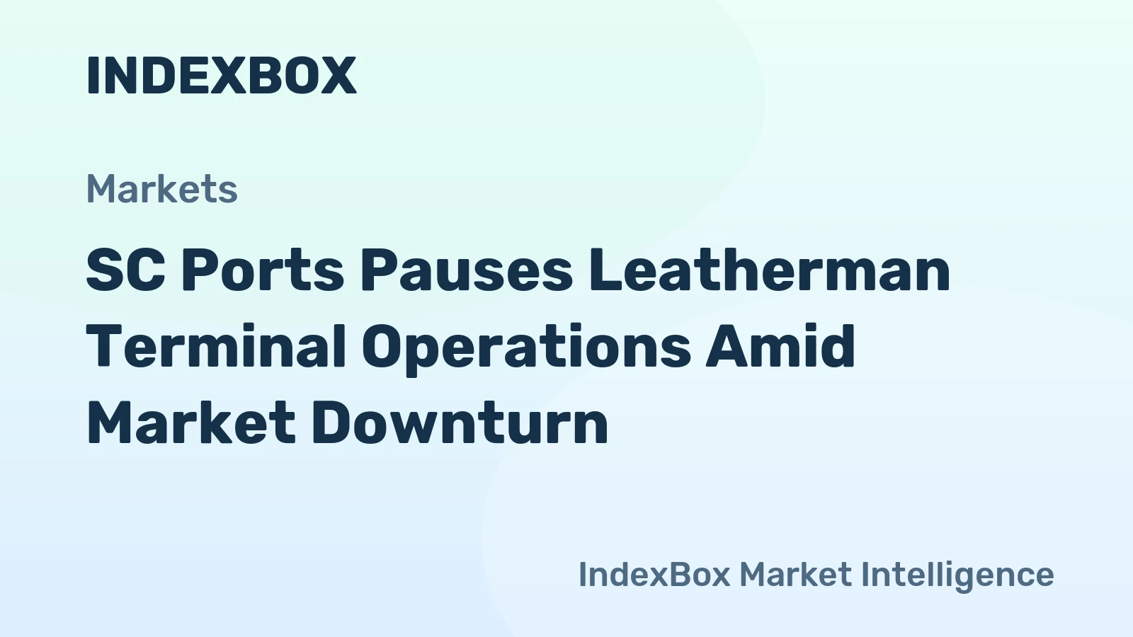 SC Ports Pauses Leatherman Terminal Operations Amid Market Downturn