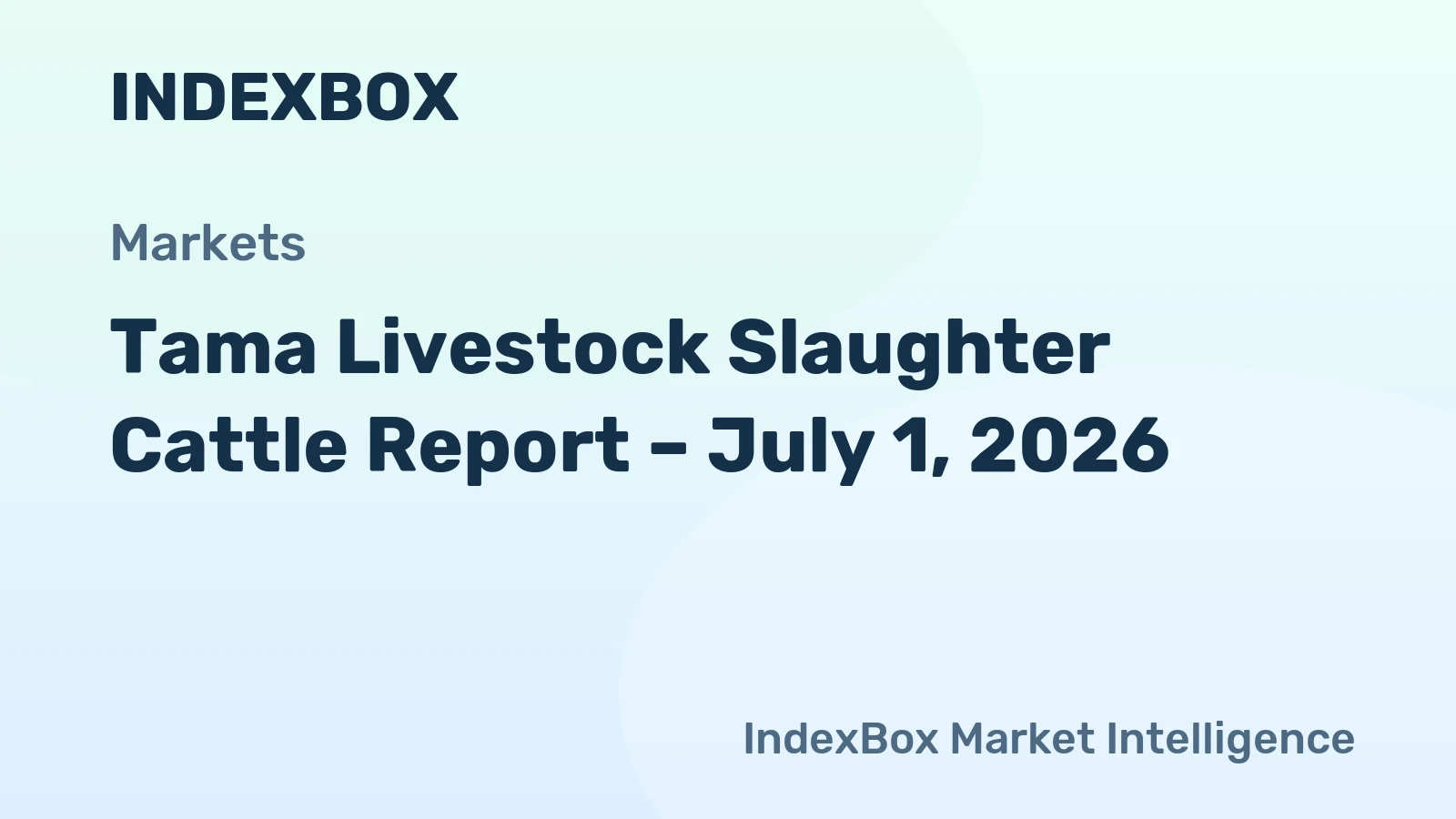Tama Livestock Slaughter Cattle Report – July 1, 2026
