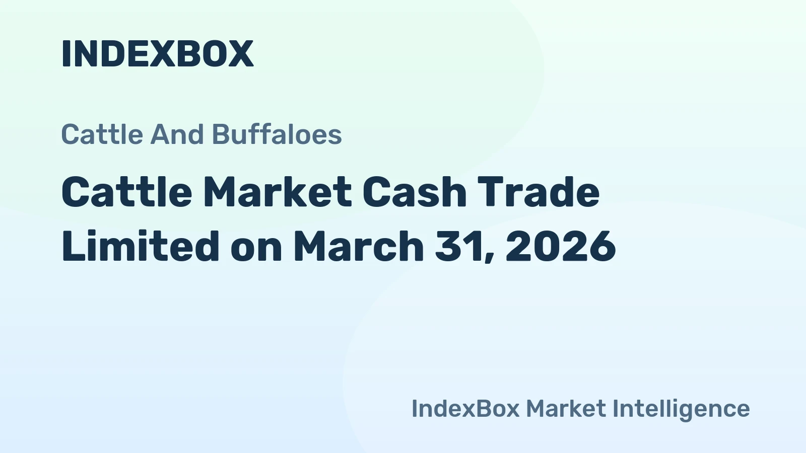 Cattle Market Cash Trade Limited on March 31, 2026